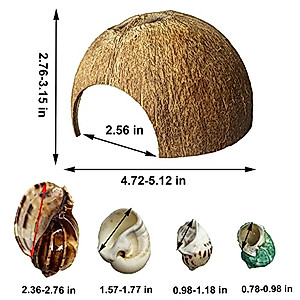 kathson 2 Pcs Natural Coconut Shells Hut, 8 Pcs Hermit Crab Shells Coconut Hide Reptile Hideout Assorted Turbo Growth Shells  for Fish Tank Decoration Reptile Habitat (10Pcs)