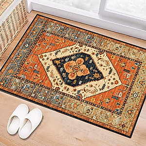 GFZDAMZ Area Rug 2x3 Washable Rug Entry Rug Non-Slip Indoor Door Mat Bathroom Rugs Low Pile Vintage Rugs Small Area Rug Oriental Throw Rugs for Living Room Bedroom Kitchen Entryway