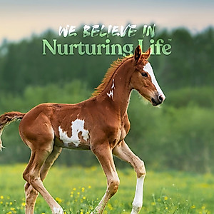 Manna Pro Nurse All Multi Species Milk Replacer with Probiotics | Helps Support Healthy Gut and Digestions| 8lbs