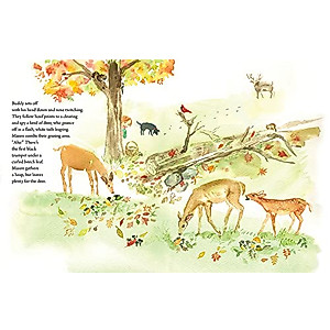 Mason Goes Mushrooming