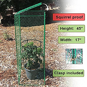 Heidi Tomato Plant Cover Rats Proof Protectors from Animals Squirrels for Garden Metal Tomato Cage to Keep Animal Out Pepper Protection Cover for Rabbits
