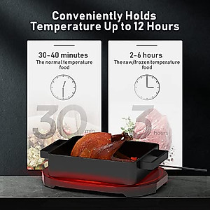 BYQIYE Personal Portable Oven 110V Food Warmer 110V Microwave Oven Electric Heated Launch Box Food Warming Tote Meals Reheating & Frozen/Raw Food Cooking On-The-Go for Office/Dorm/Camping Hot Food