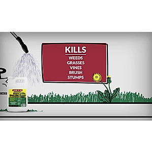 Compare-N-Save 75324 Herbicide, 1-gallon, white