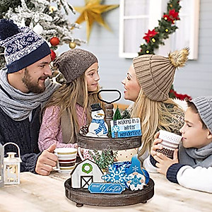 Guoofu Winter Tiered Tray Decor, Farmhouse Tray Decorations, Winter Wonderland Snowman Gnome Snowflake Wooden Signs, Rustic Winter Decor for Home Table Mantel Office Holiday Party