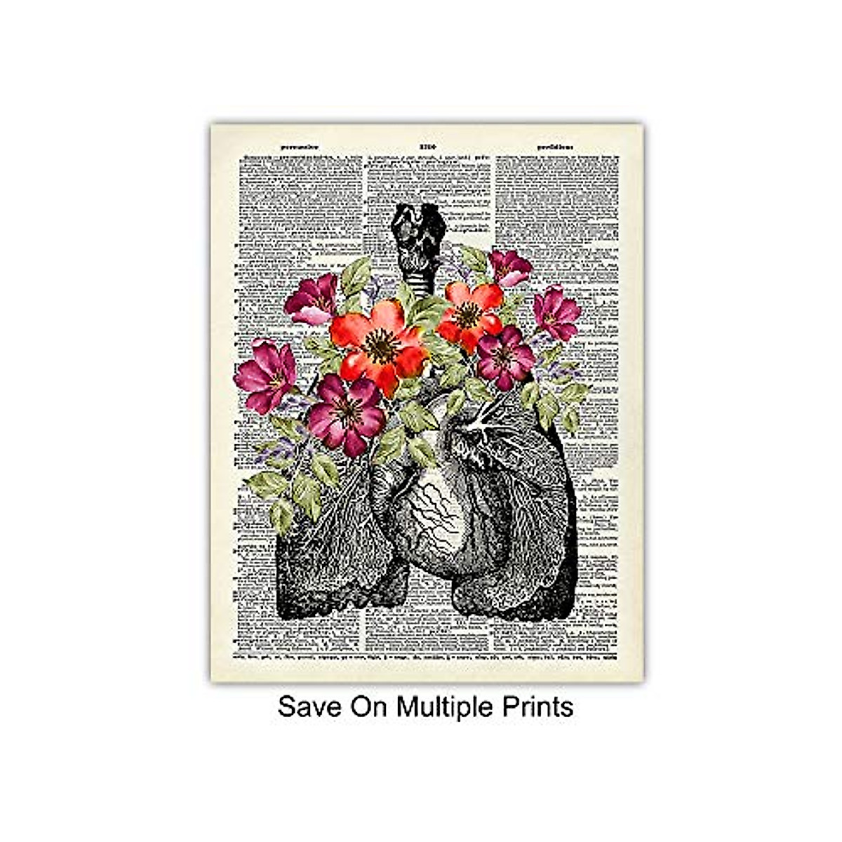 Heart, Skull, Brain, Lungs, Kidney, Liver Wall Art Decor - Human Anatomy Room Decorations - Medical Office Decor - Shabby Chic Gift for for Doctor, Nurse, Women, RN - Poster Picture Prints Set