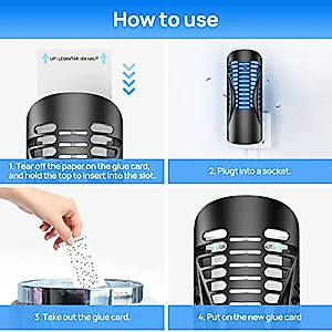 Meilen Fruit Fly Traps for Indoor - Quiet Bug Zapper and Mosquito Killer - Effective Against Mosquitoes, Gnats, and Other Insects - Silent Operation for Peaceful Sleep - 1 Trap + 5 Glue Cards Included