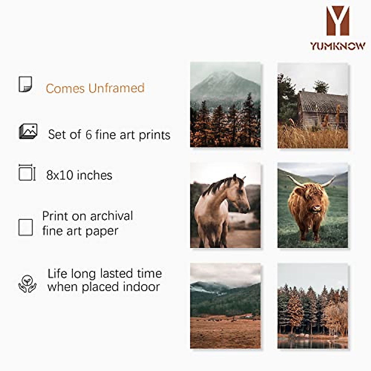 Highland Cow Pictures Wall Art - Farm House Animal - Boho Western Decor - Gift Cowboy Men Cowgirl - Set of 6 - Old West Ranch Room Decor - Country Horse Print - Fall Rustic Farmhouse Bathroom Poster