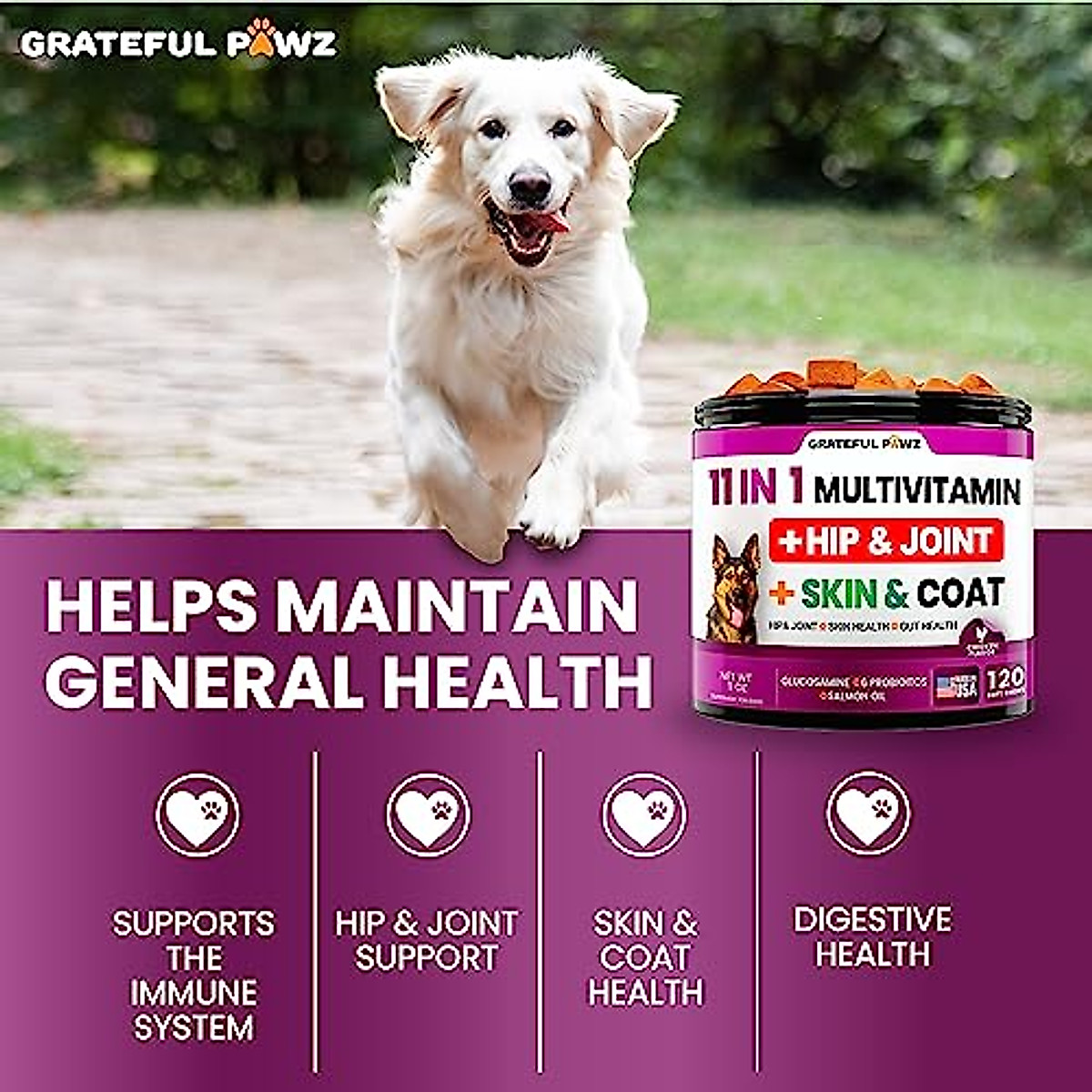 Dog Multivitamin Chewable with Glucosamine - Dog Vitamins and Supplements, Senior & Puppy Multivitamin for Dogs - Pet Chondroitin Hip and Joint Support Health, Immune Booster, Skin, Heart, Probiotics