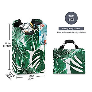 Tropical Palm Leaves Laundry Hamper Basket Bucket Foldable Dirty Clothes Bag Washing Bin Toy Storage Organizer for College Dorms, Kids Bedroom,Bathroom