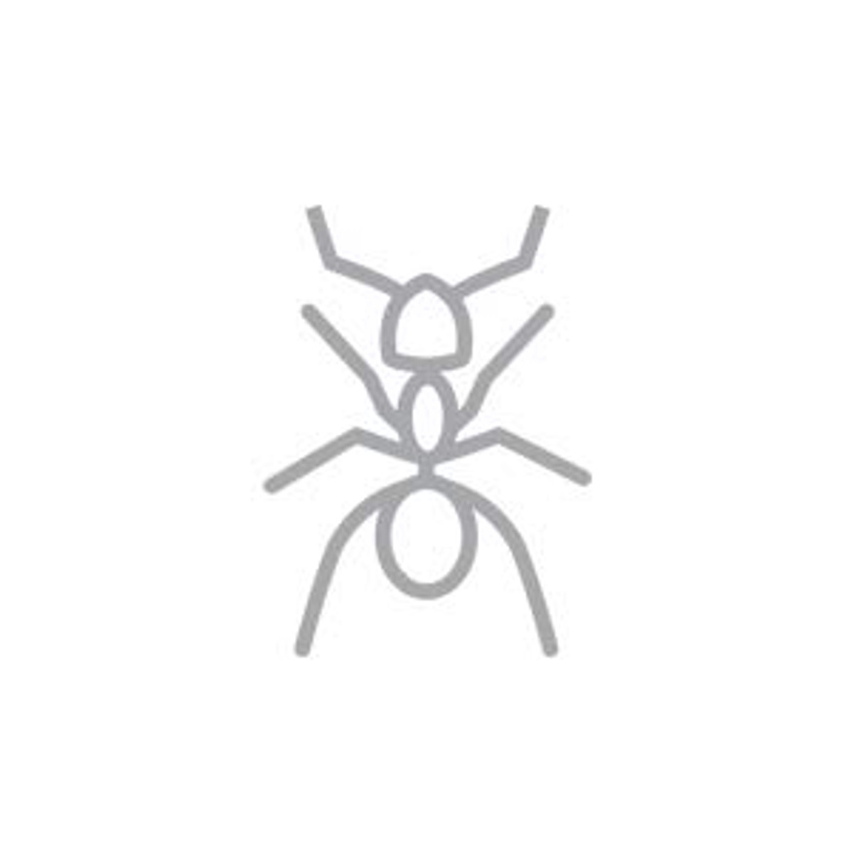 BUGGSLAYER Crawling Insect Insecticide Concentrate 8-oz. Outdoor Killer for Ants, Spiders, Mosquitoes, Ticks and Fleas.