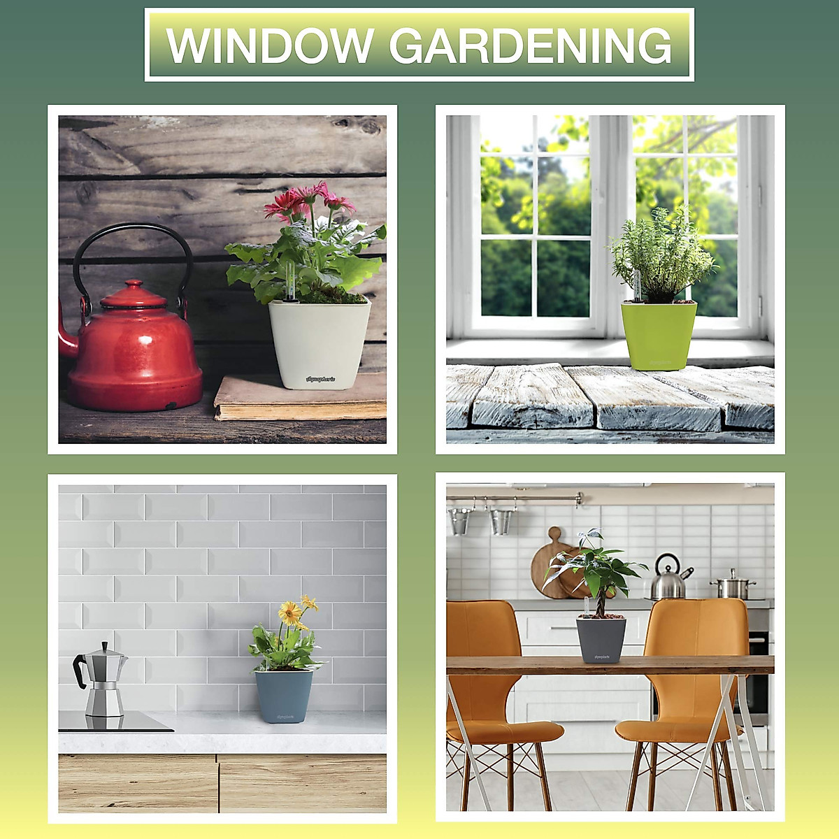 Window Garden Aquaphoric Self Watering Planter 5” and Fiber Soil, Foolproof Indoor Home Garden. Decorative Planter Pot for All Plants, Flowers, Herbs, Indoor Herb Planter