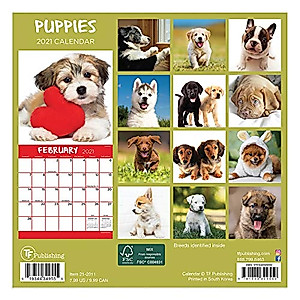 TF PUBLISHING 2021 Puppies Mini Wall Calendar - Animal Photographs with Contacts and Notes Space - Home or Office Planning and Organization in Compact Spaces - Premium Gloss Paper 7"x7"