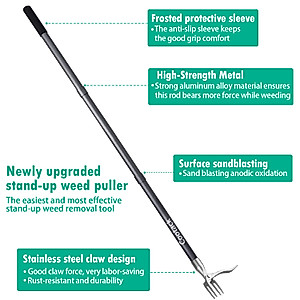 Cootack 52'' Weed Puller with Long Handle Stand-up Hand Weeder Manual Weeding Tool with Stainless Steel Claw for Garden/Yard/Lawn, Weed Remove Without Bending or Kneeling