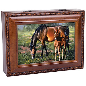 Cottage Garden Horses Brown Mare Black Mane Colt Woodgrain Rope Trim Music Box Plays Wonderful World