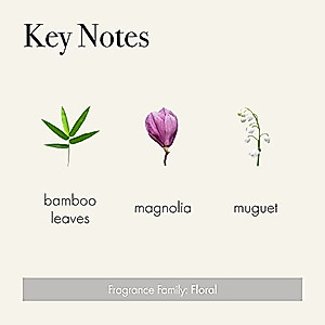 LAFCO New York Classic Candle, Star Magnolia - 6.5 oz - 50-Hour Burn Time - Reusable, Hand Blown Glass Vessel - Made in The USA