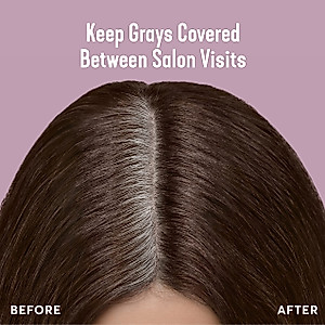 Madison Reed Root Perfection Permanent Root Touch Up, Medium Brown 6N Savoca, 10 Minutes for 100% Gray Root Coverage, Ammonia-Free Hair Dye, Two Applications