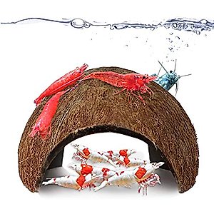 JOR 2-Pack Coconut Aquarium Shrimp Cave, Small Fish Tank Aquarium Decorations Accessories, Comfortable Shelter and Breeding Area for Crustaceans, Fish Hideout Aquarium Décor for Spawning