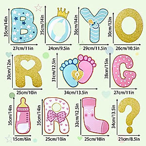 AerWo 11 Pieces Gender Reveal Decorations Baby Shower Yard Signs with Stakes,Baby Gender Reveal Ideas Yard Letters Lawn Signs Boy or Girl Gender Reveal Party Supplies