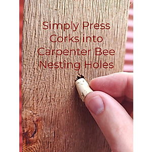 Donaldson Farms Carpenter Bee Corks - 100 Pack