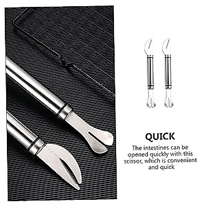 Baluue toad fish opener frogmore cleaner scale peeler seafood tools prawn deveiner fish cleaning kit fish skin graters pelador de camarones fish maw crab tools scales Stainless steel 2Pcs
