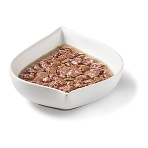 Fancy Feast Gravy Lovers Salmon and Sole Feast in Seared Salmon Flavor Gravy 24 Pack