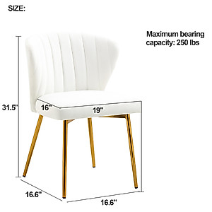 KASUE Velvet Dining Chairs Set of 4 – Golden Metal Legs & Tufted Upholstery - Modern Dining Chairs for Your Dining Room, Kitchen, Vanity.White