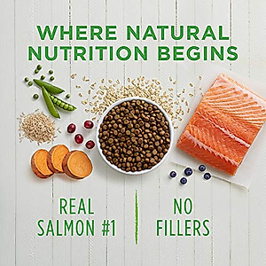 Instinct Be Natural Real Salmon & Brown Rice Recipe Natural Dry Dog Food, 4.5 lb. Bag