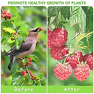 6 Packs 2 Size Insect Netting Bag, Garden Bird Barrier Mesh Covers Bags with Drawstring, Bug Netting Plant Protection Covers Bags for Blueberry Tomato Vegetable Form Cicadas Bird Squirrels Eating