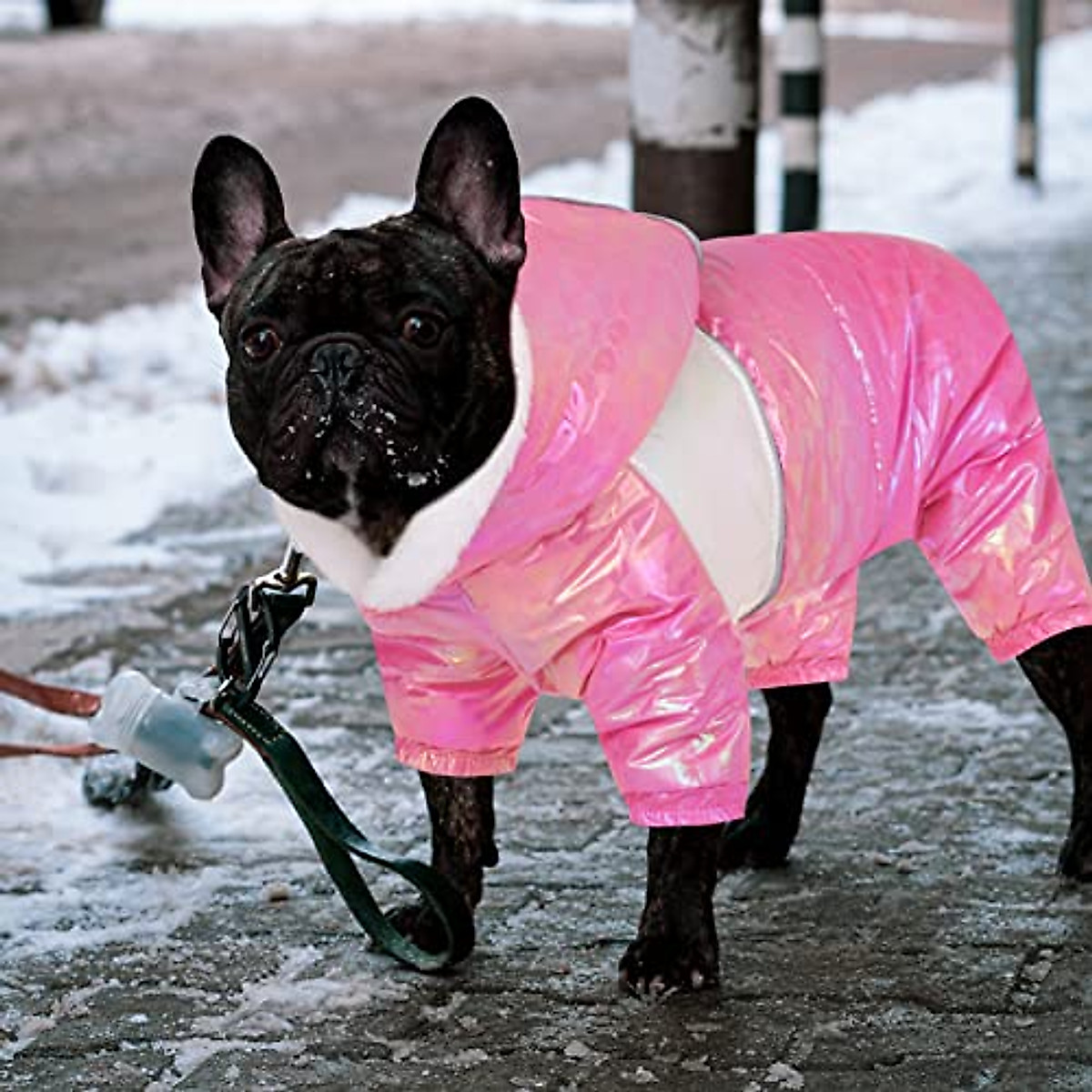 ASENKU Dog Puffer Coat, Reflective Dog Jacket Dog Winter Hoodie, Dog Clothes for Small Medium Dogs, Puppy Waterproof Outdoor Pajamas with D-Ring (Pink, XS)