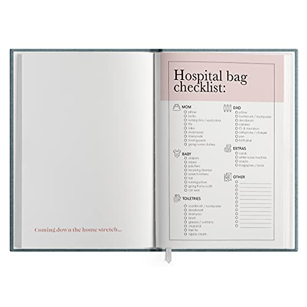 The Pregnancy Journal for Expecting Moms: Beautiful and Modern Pregnancy Planner, Organizer and Memory Book Album for Mom and Baby - Pregnancy and Baby Journals for First Time Moms