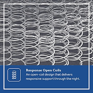 Sealy Essentials Spring Summer Elm Firm Feel Mattress and 5-Inch Foundation, Twin XL