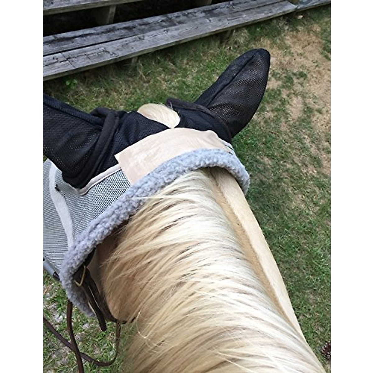 Trednot 12 Horsefly Patches/Sticky Horse Fly Traps