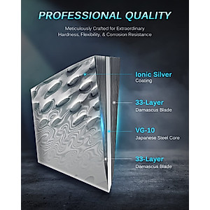 KYOKU Gin Series Chef Knife, 8" All Purpose Kitchen Knife, Japanese VG10 Damascus Stainless Steel Knife with Silver Ion Blade G10 Handle Mosaic Pin, Professional Knife for Meat Fruit Vegetables