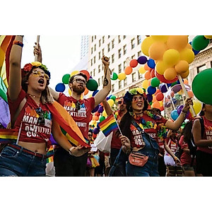 DreamLily Rainbow Rose Hawaiian Stretch Flower Headband for Garland Party (Rainbow)