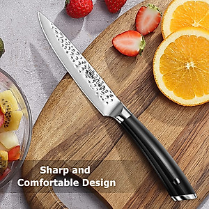 PAUDIN Utility Knife Kitchen, Sharp Chef Knife 5 Inch Small, Paring Knife, High Carbon Stainless Steel Kitchen Utility Knife with ABS Handle, Small Kitchen Knife for Home and Restaurant