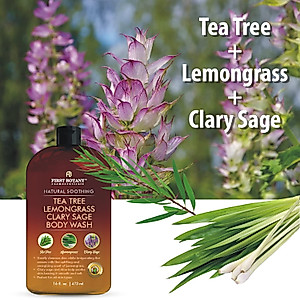 First Botany, ALL Natural Body Wash, Fights Body Odor, Athlete's Foot, Jock Itch, Dandruff, Acne, Eczema, Shower Gel for Women & Men, Skin Cleanser -16 fl oz (Tea Tree, Lemon Grass, Clary Sage)