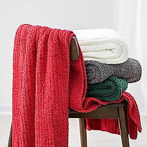 RECYCO Super Soft Throw Blankets for Bed, Warm Cozy Knit Blanket Lightweight Fluffy Throw Blanket for Couch Sofa Chair Living Room, Light Grey, 60x80 Inches, Laundry Bag Included