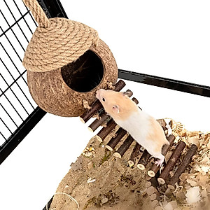 Dlhbafuya Coconut Birdhouse Coconut Shell Climbing nest Hamster hut with Ladder pet Bird Climbing Ladder nest Coconut Shell Bird nest Small Animal Habitat nest.
