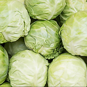 tntnmom's Cabbage Breast Cream 3.38 Oz with Special Cooling Ball applicator | For Engorgement, Mastitis, Stop Lactation | Trusted by Korea Mother, Breastfeeding Essencial