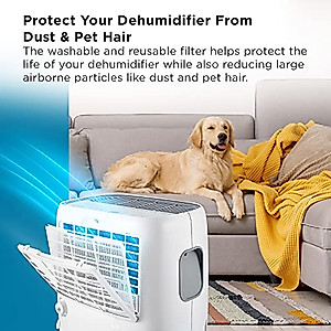 TCL Home Smart 50 Pint Dehumidifier, 4,500 Sq. Ft, App & Voice Control, Set Up in Minutes, Easy Maintenance, Basements, Bedrooms (50D91), White