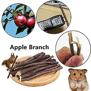GREMBEB Bunny Chew Stick Rabbit Toy Treat 140g 4 in 1 Molar Stuff 100% Organic Natural Snack,Apple Branch,Sweet Bamboo,Timothy Hay,Alfalfa Food Clean Teeth Hamster Chinchilla Parrot Gerbil Squirrel