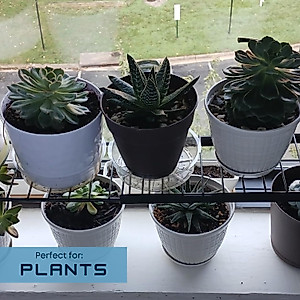 WalterDrake Expandable Over the Sink Shelf