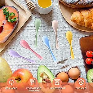 HMDZMR Soup Spoons Wheat Straw Chinese Soup Spoons Ramen Spoons, Long Asian Soup Spoon, Plastic Dinner Spoons for Noodle Dumpling Wonton Cereal (6PCS)