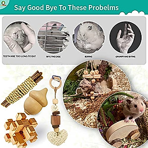 Wepets Hamster Toys, for Hamster, Gerbils, Mice, Rats and Other Small Animals to Chew and Play with, Induce Them to Grind Their Teeth, Reduce Depression. (Pattern-A)