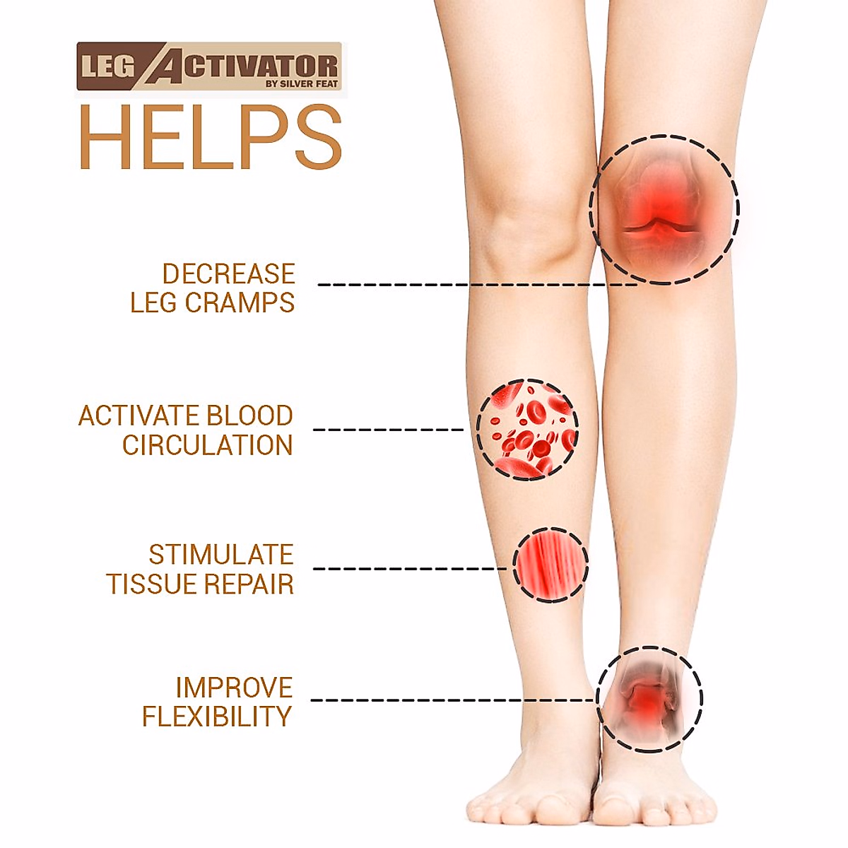 LegActivator - The Seated Leg Exerciser & Physiotherapy Machine for Seniors that Improves your Health and Blood Circulation while Sitting in the Comfort of your Home or Office