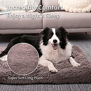 WELLYELO 4" Memory Foam Medium Dog Bed Fluffy Plush Dog Beds for Medium Dogs Orthopedic Egg Crate Foam Dog Bed Dog Crate Pad Washable Pet Bed Kennel Pad (30x20x4,Light Brown)