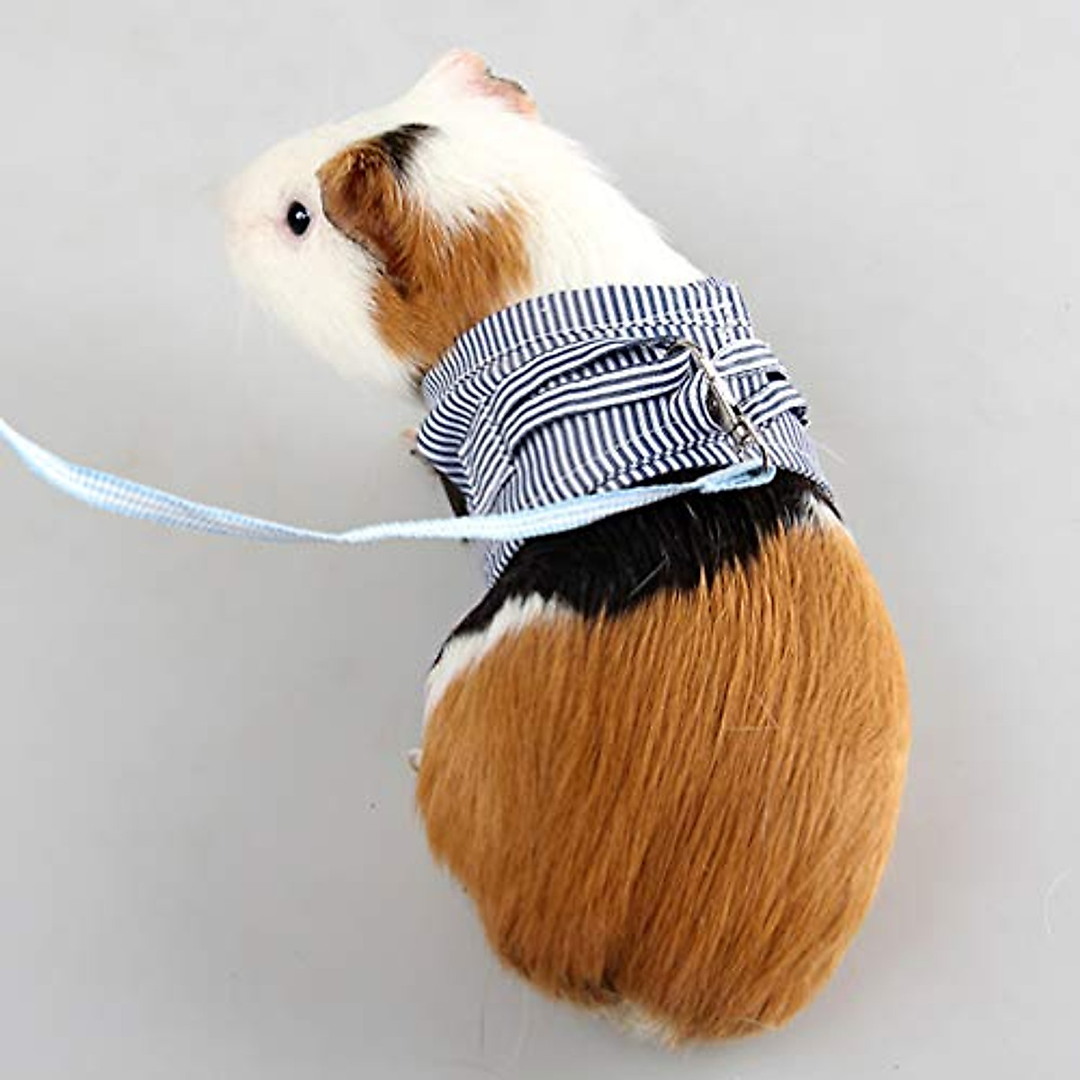 POPETPOP Ferret Harness - Small Animals Outdoor Walking Vest Harness with Lead Leash Set Rabbit Hedgehog Ferret Guinea Pigs Piggies Squirrel Kitten Puppy Comfort Clothes - Blue Small