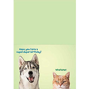 RSVP Happy Huskie and Grumpy Cat Funny/Humorous Dog and Cat Birthday Card