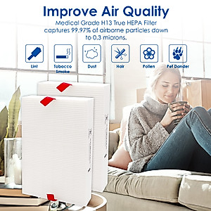Flintar H13 True HEPA Replacement Filter R, Compatible with Honeywell Air Purifier HPA300, HPA200, HPA 100 and HPA 5000 Series, HRF-R2 (2 HEPA Filters)