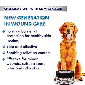 PetSilver Wound Gel with Complex AG21 | Chelated Silver 200 ppm | Dog & Cats |Wounds | Hot Spots | Itches | Skin Irritations | Burns | Rashes | Sores | Homeopathic | 4oz
